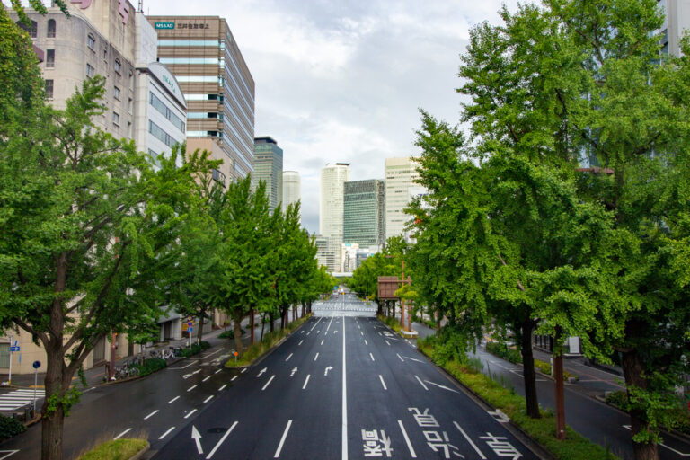 名古屋駅ビル群（0月）名古屋市中村区の観光・撮影スポットの名所 - 東海カメラマップ